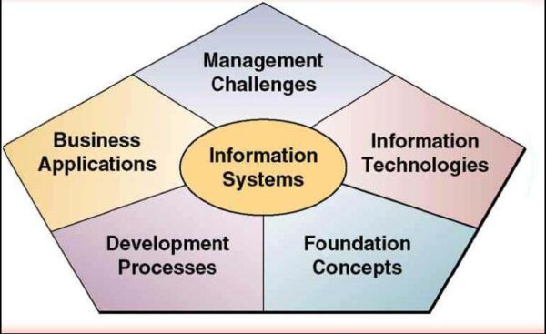 Foundations of Information Systems (IS) in Business - Notes Vandar